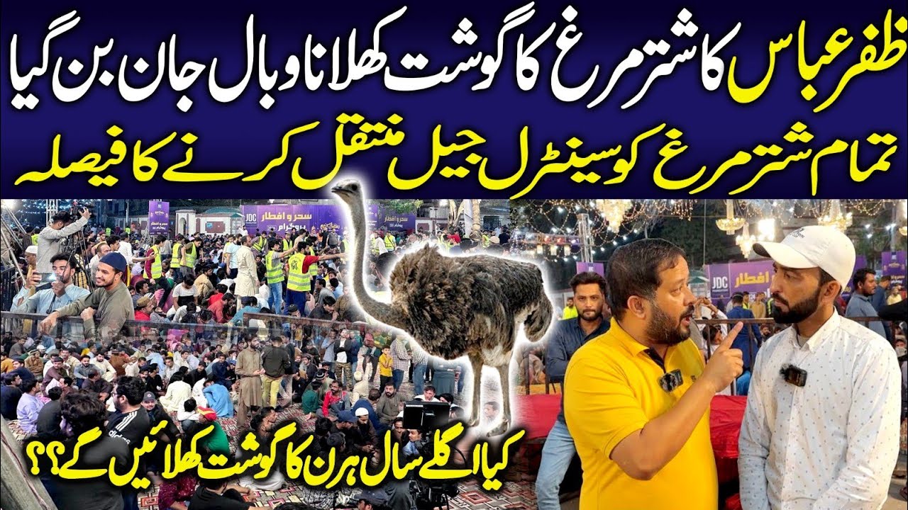 shutar murgh ki sahri jdc | zafar abbas jdc - YouTube