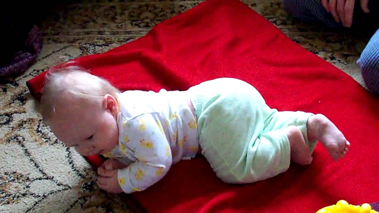 101 2955 YouTube 101-2955-youtube