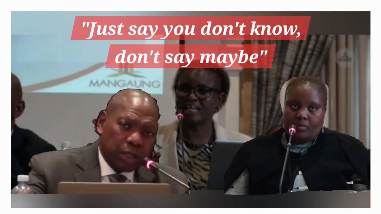 Senior Municipal employees caught lying; "You're over staffed yet you ...