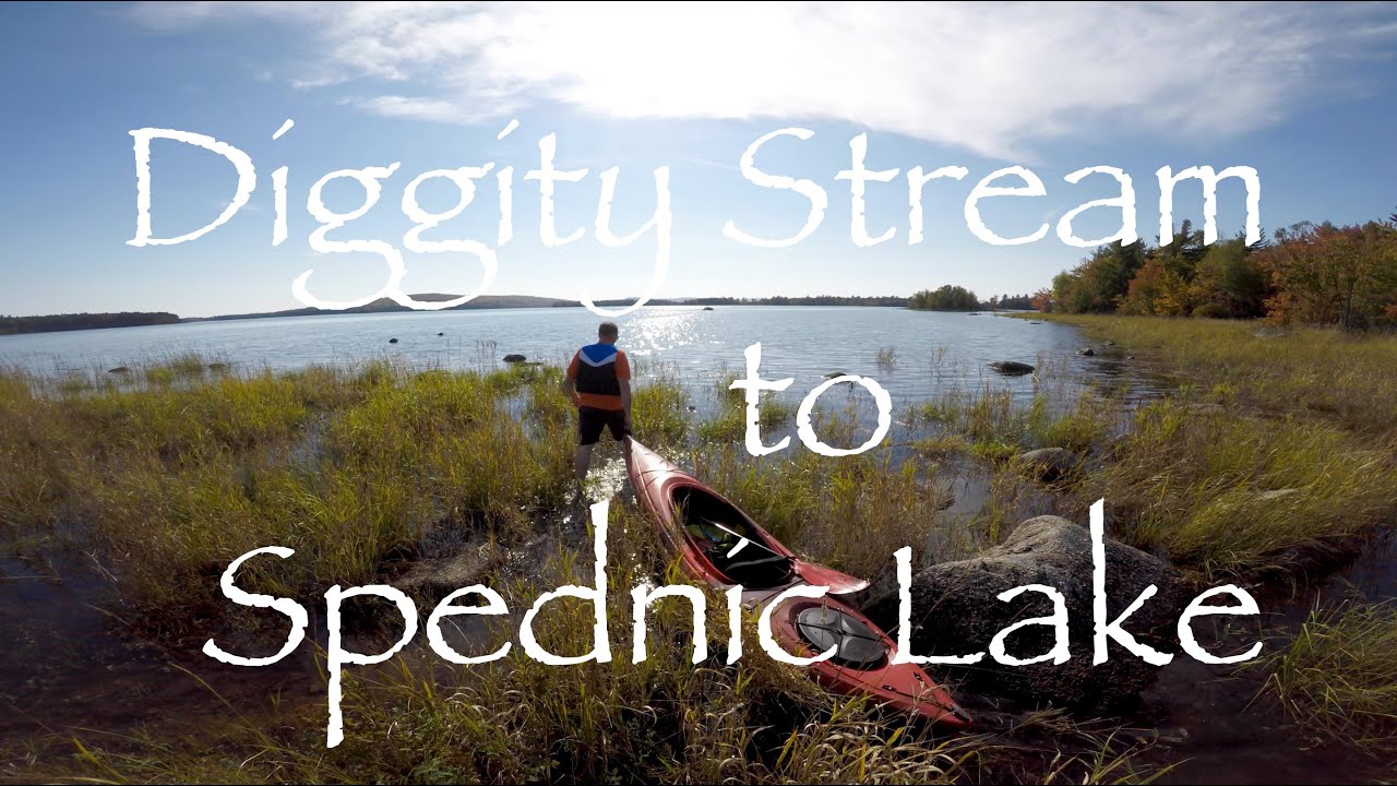 Paddling Diggity Stream to Spednic Lake - YouTube