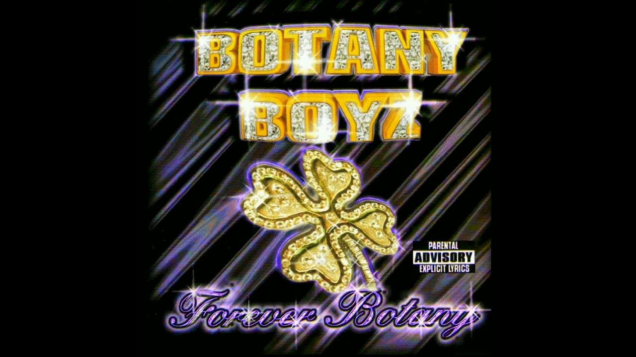 Botany Boyz - Sittin On Top Of The World (Slowed N Chopped) Dj ...