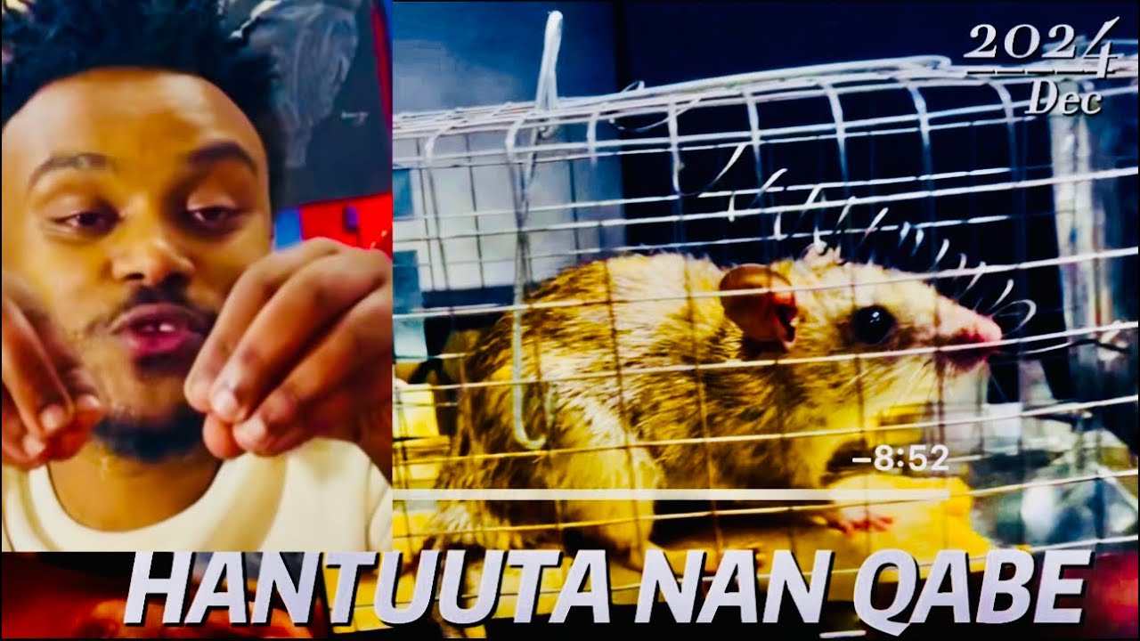 NAN IYYA. HANTUUTA Baayyee na Rakkiste Arra Nan Qabe. - YouTube