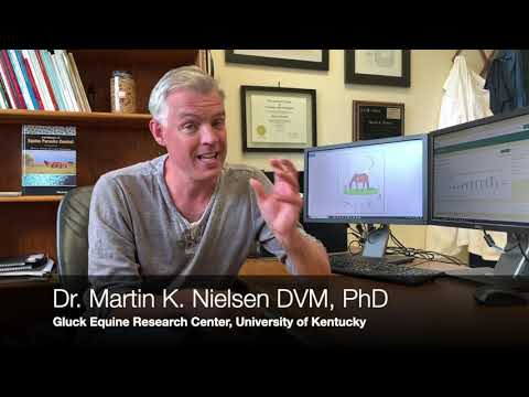 Deworm Debunk 4: Diatomaceous Earth