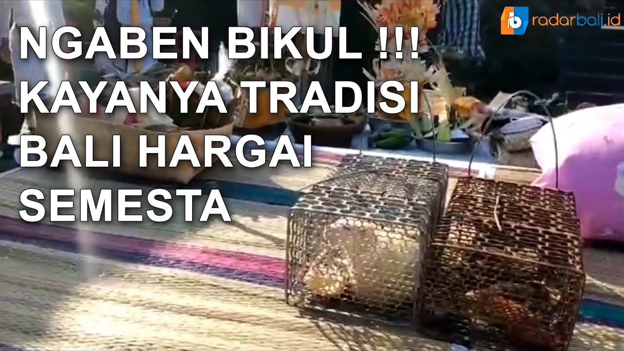 NGABEN BIKUL !!! KAYANYA TRADISI BALI HARGAI SEMESTA - YouTube