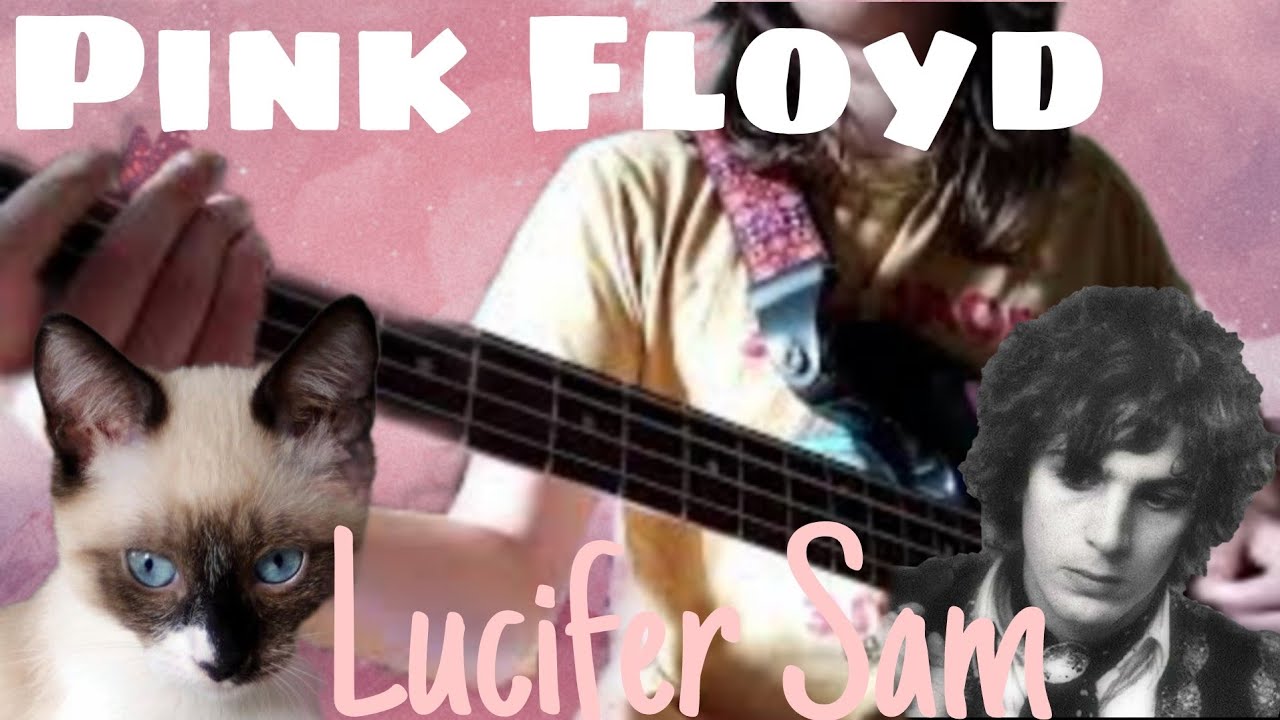 Pink Floyd - Lucifer Sam🎸bass cover - YouTube