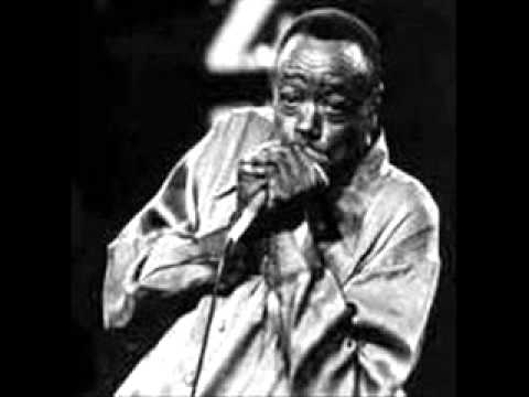 Lovie Lee with Carey Bell - Nobody Knows My Troubles - YouTube