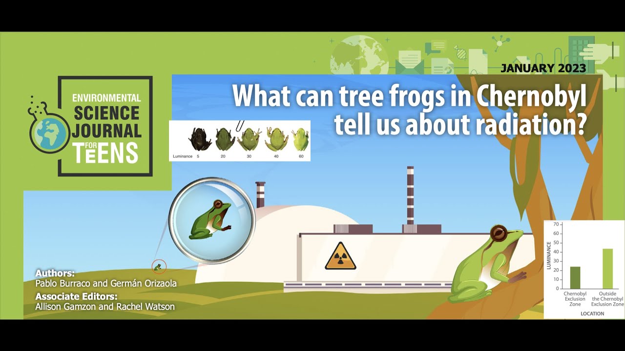 E72: What can tree frogs in Chernobyl tell us about radiation? [SJK ...