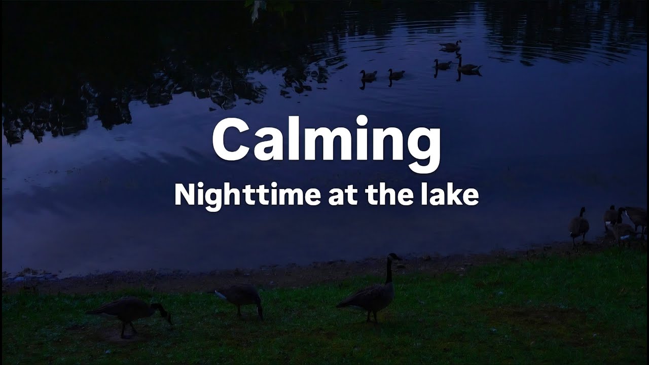 Relaxing nighttime nature sounds for sleep or study, last light to dark ...