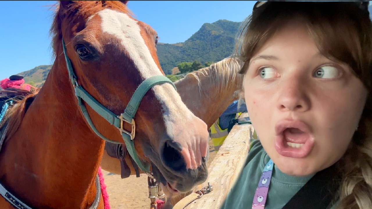 Surviving My First Horse Ride - YouTube