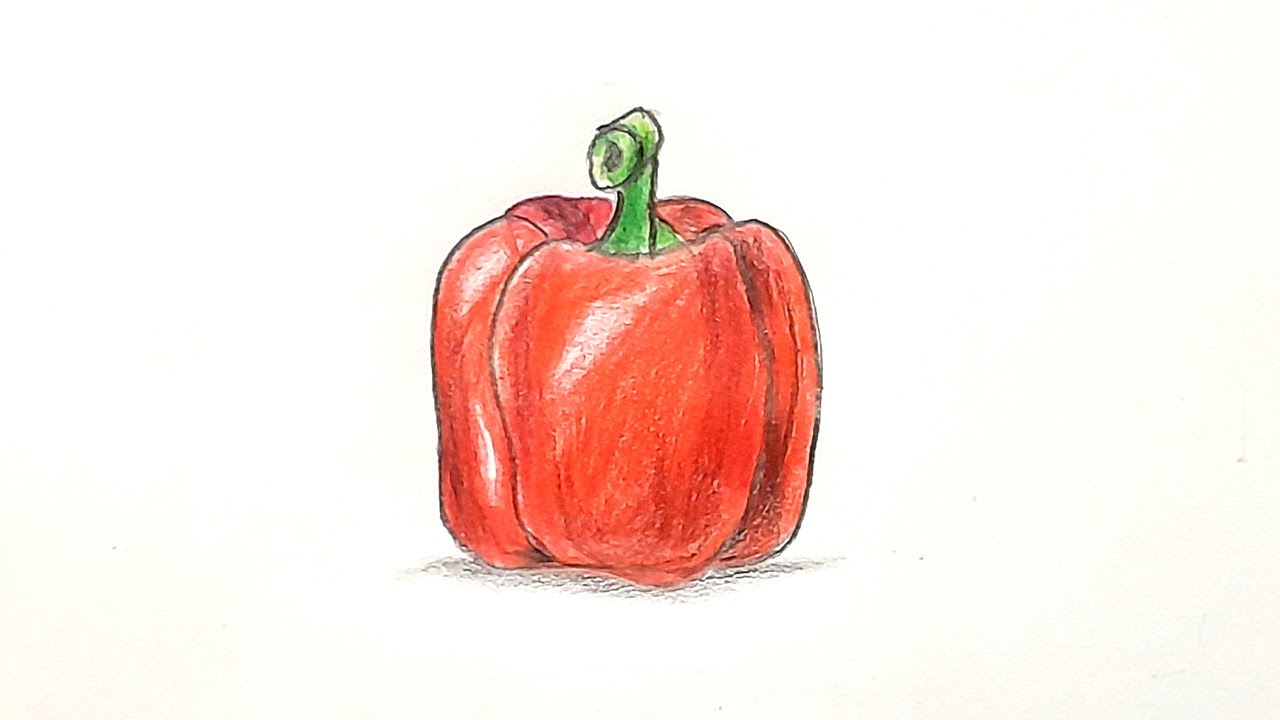 How to draw red capsicum easy step by step - YouTube