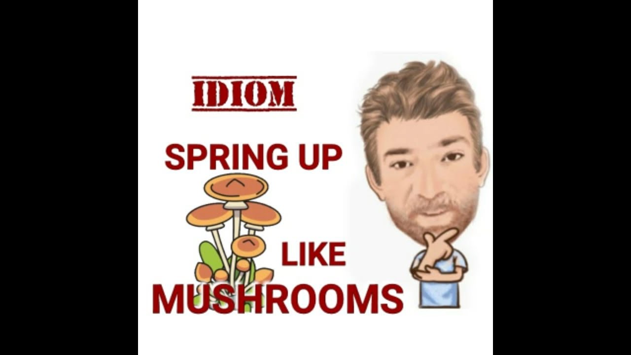 Spring Up Like Mushrooms / Weeds - Idioms (723) Origin - English Tutor ...