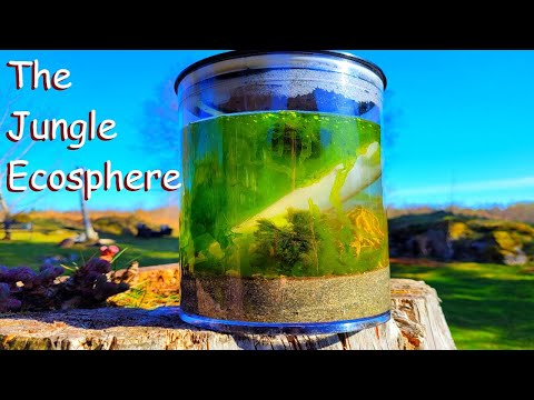 Making A Saltwater Ecosphere With Big Inhabitants - YouTube