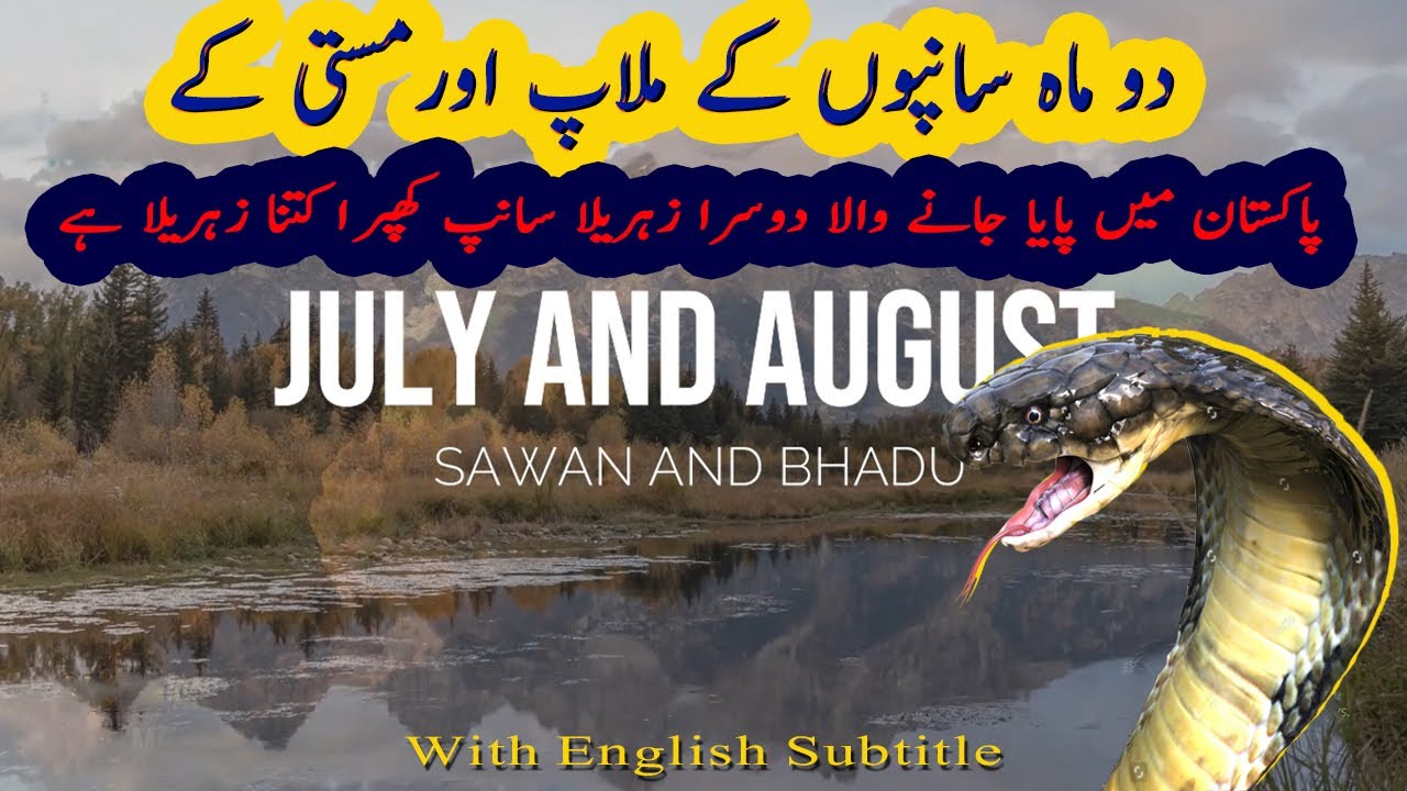 Snake Story, Cobra Snake, Biggest Snakes in the world, snake history ...