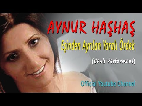 Aynur Haşhaş - Eşinden Ayrılan Yaralı Ördek (Canlı Performans)