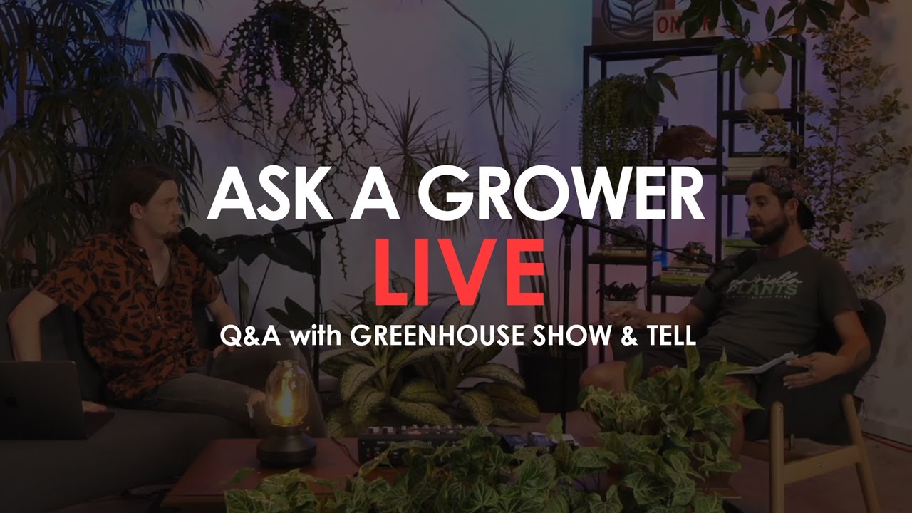 Ask A Grower LIVE! with Greenhouse Show & Tell! - YouTube
