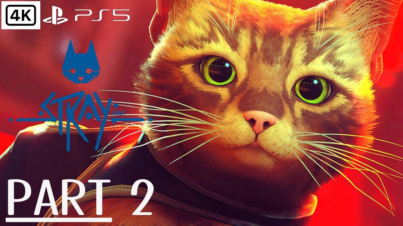 STRAY 4K PS5 - Walkthrough Gameplay Part 2/4 - No Commentary - YouTube
