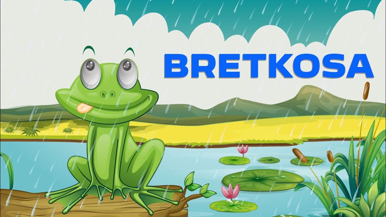Vjersha Bretkosa | The frog | Albanian @KanaliDiell - YouTube
