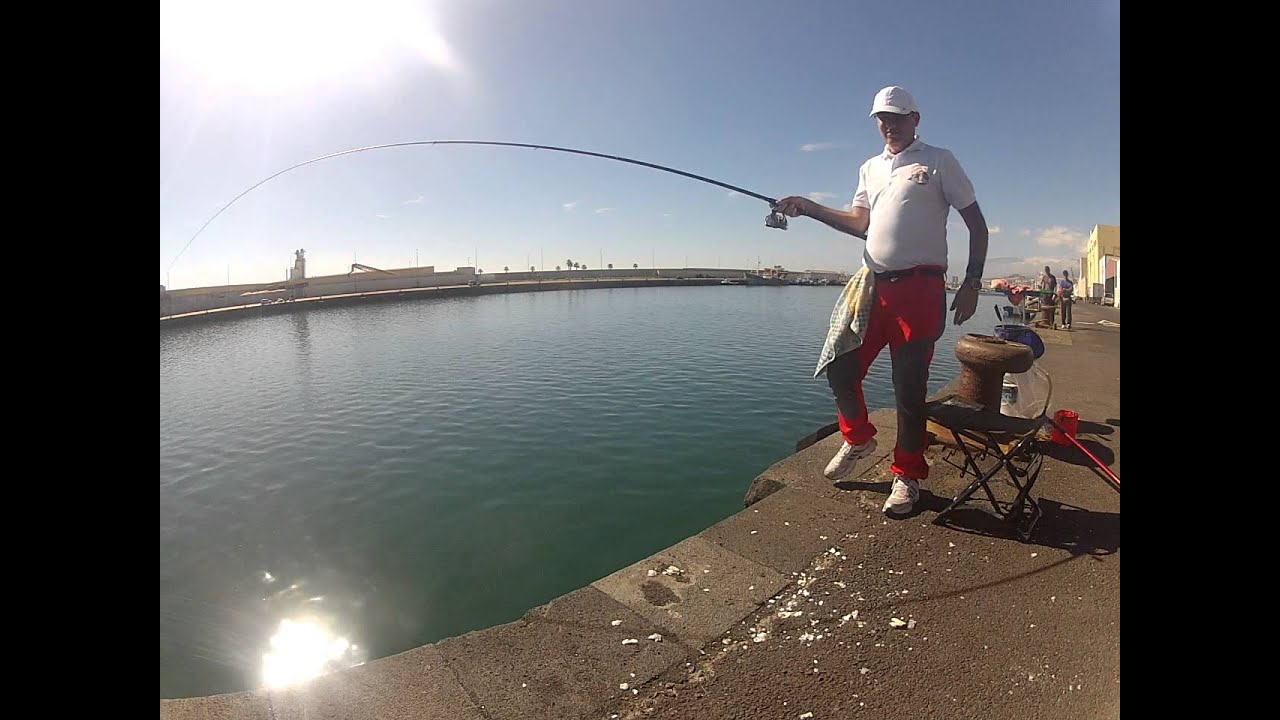 PESCA A BOYA ¿ QUE HABRÁ SIDO ? - YouTube