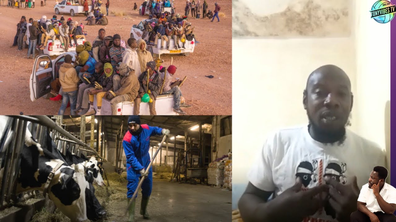 I Spent 3 Months On The Libyan Desert Without Bathing, My Job Is To ...