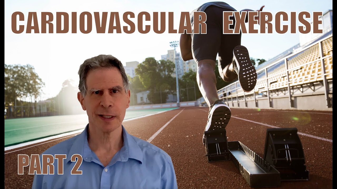 Cardiovascular Exercise Pt 2 - YouTube