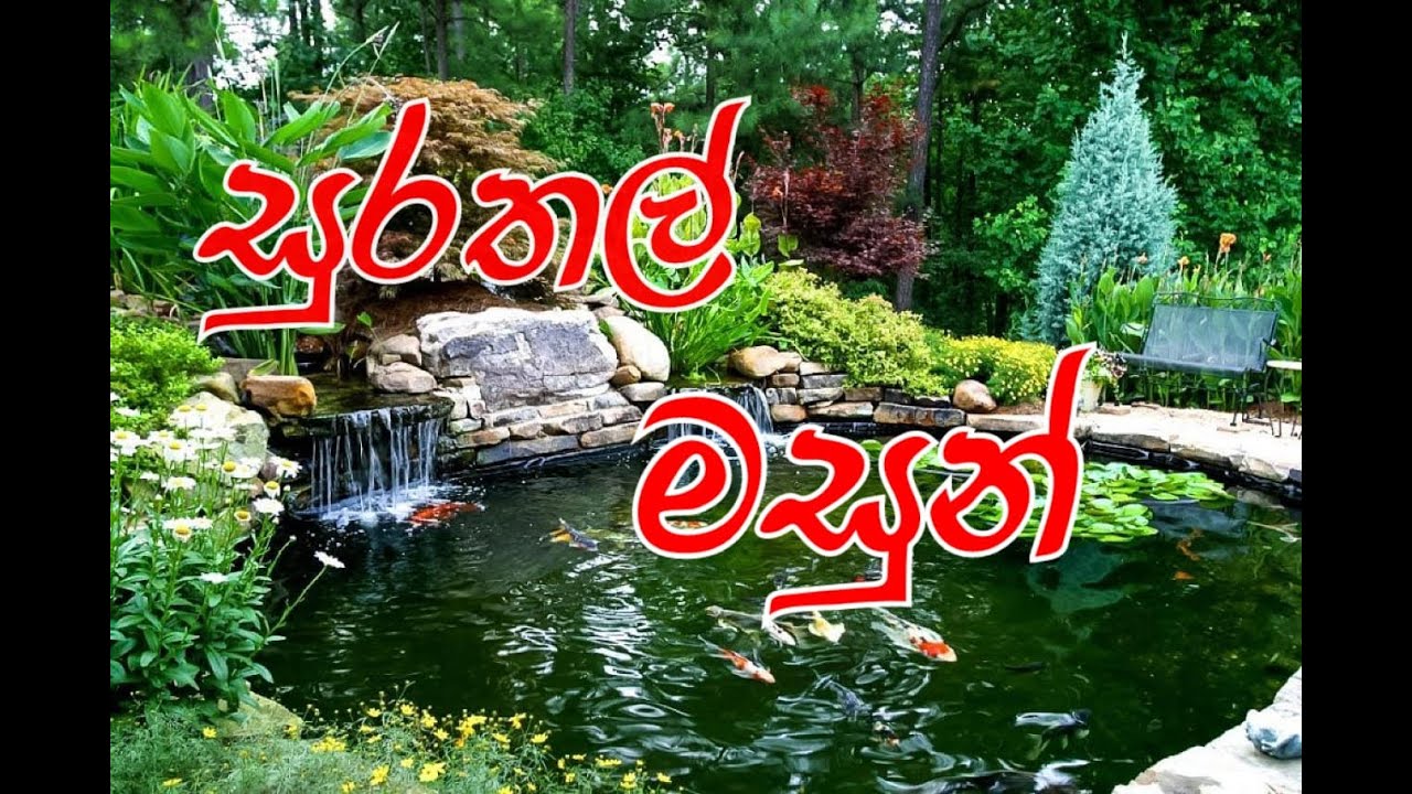 Fish Pond | Fish Tank | Surathal Masun | Wisithuru masun | Sith Rata ...