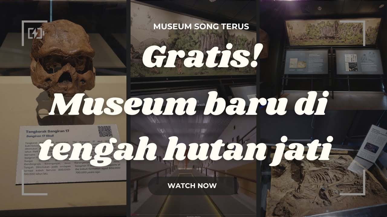Museum Song Terus - YouTube