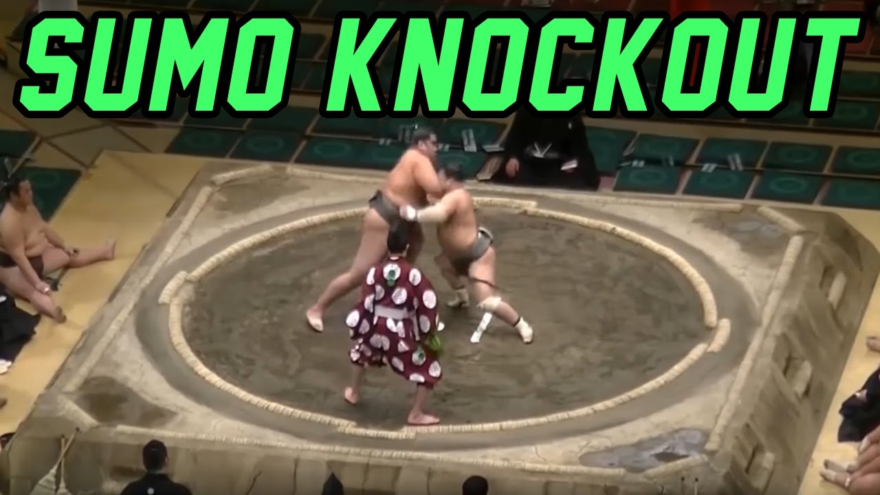 Sumo Wrestler Gets Knocked Out - YouTube