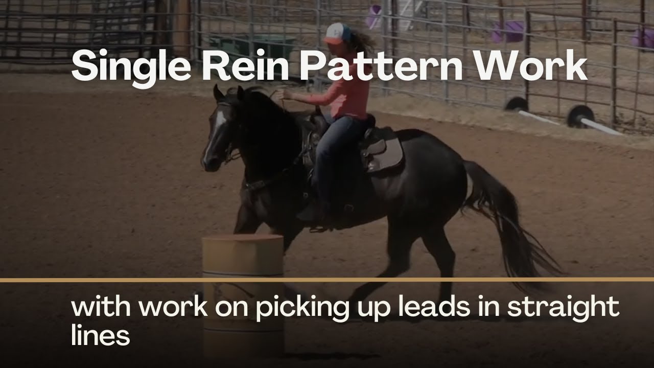 Single Rein Pattern Work and Work on Straight Line Lead Departures with ...