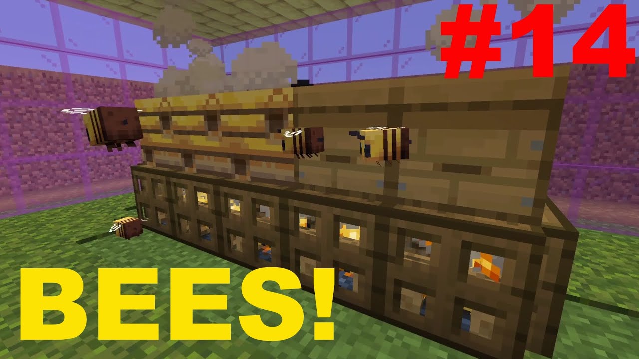 Getting Bees on My Minecraft Super Flat #14 - YouTube
