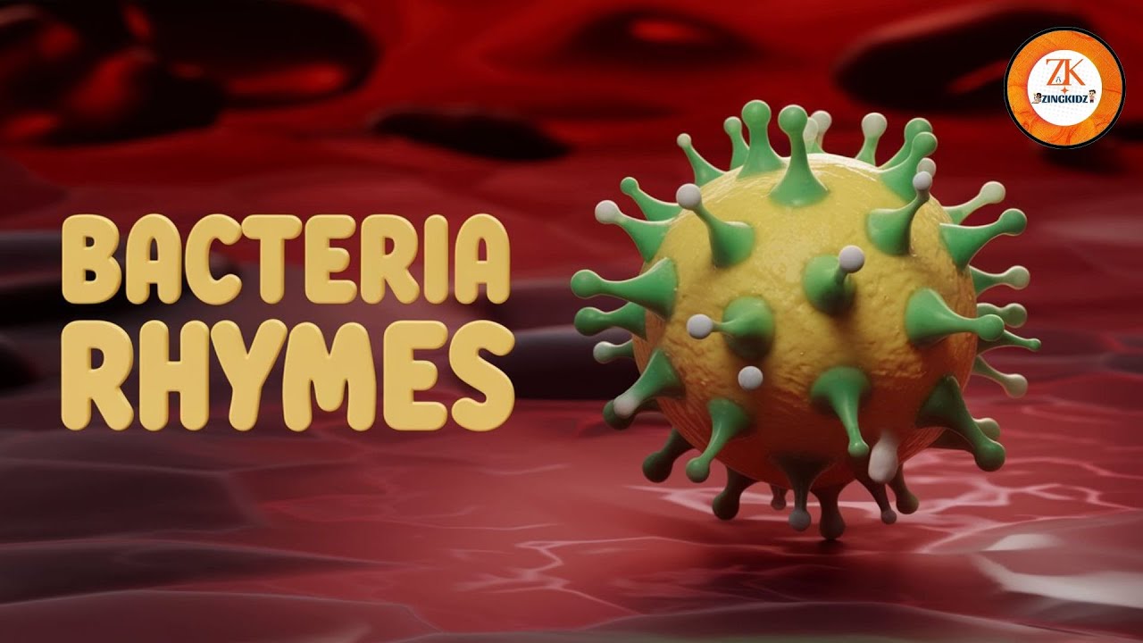 Bacteria || Baby Song & Nursery Rhymes || English Rhymes || ZingKidz ...