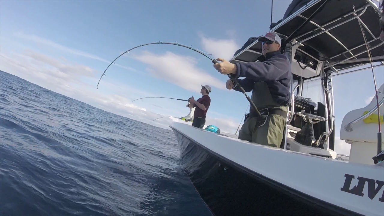 Jigging offshore NC - YouTube