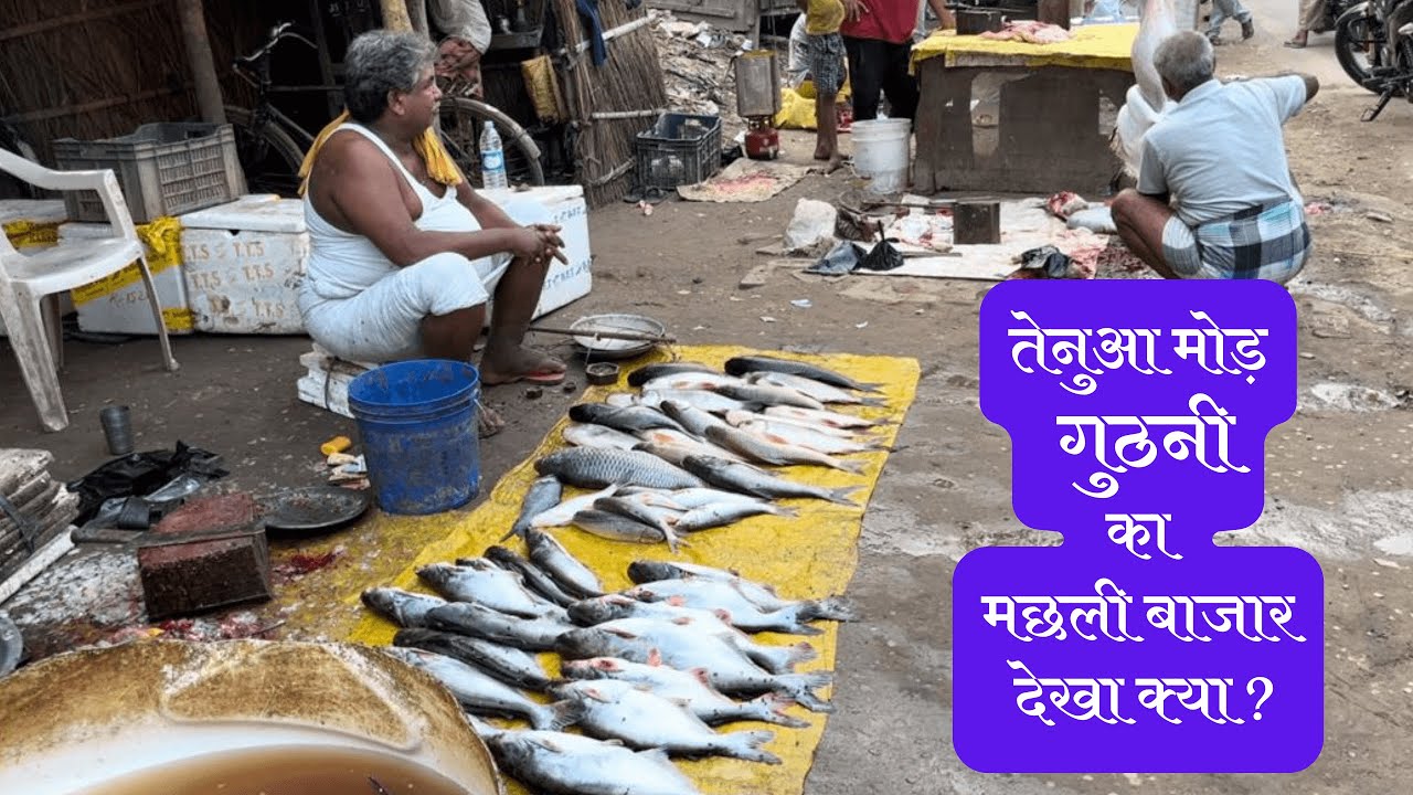 Tenua More Fish Market - An Ideal Place to Find Fresh Rohu, Katla ...