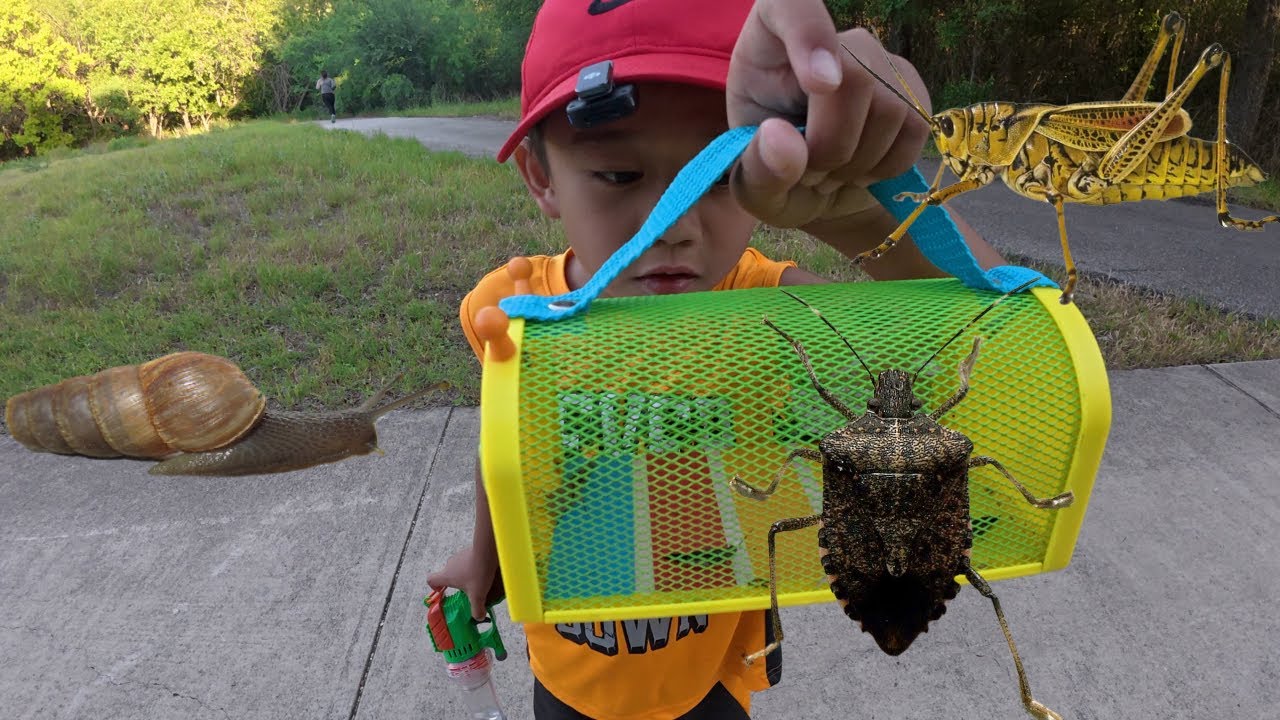 BUG HUNT and Nature Walk Finding LOTS of BUGS - YouTube