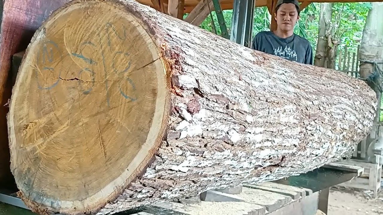 sawing jumbo acacia logs into solid, hard, full-fiber boards at a ...
