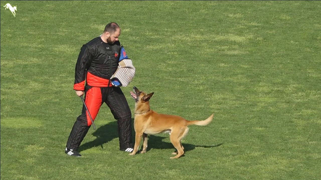 FMBB World Championship 2018 - YouTube