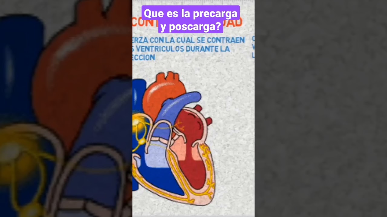 Que es la precarga y poscarga? #cardiologia #medicina #medstudent # ...