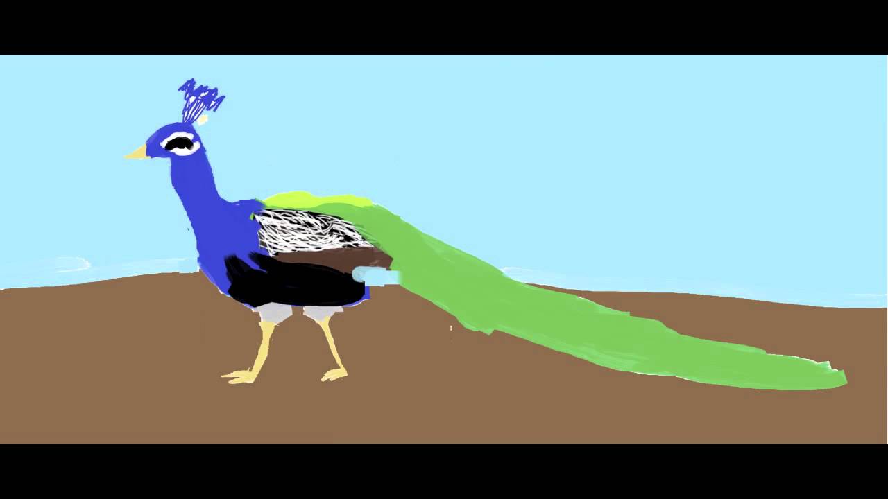 Peacock Research Report - An Animated Movie - YouTube