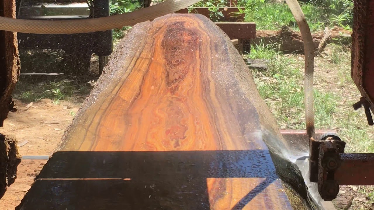 Cutting Sinker Cypress - YouTube