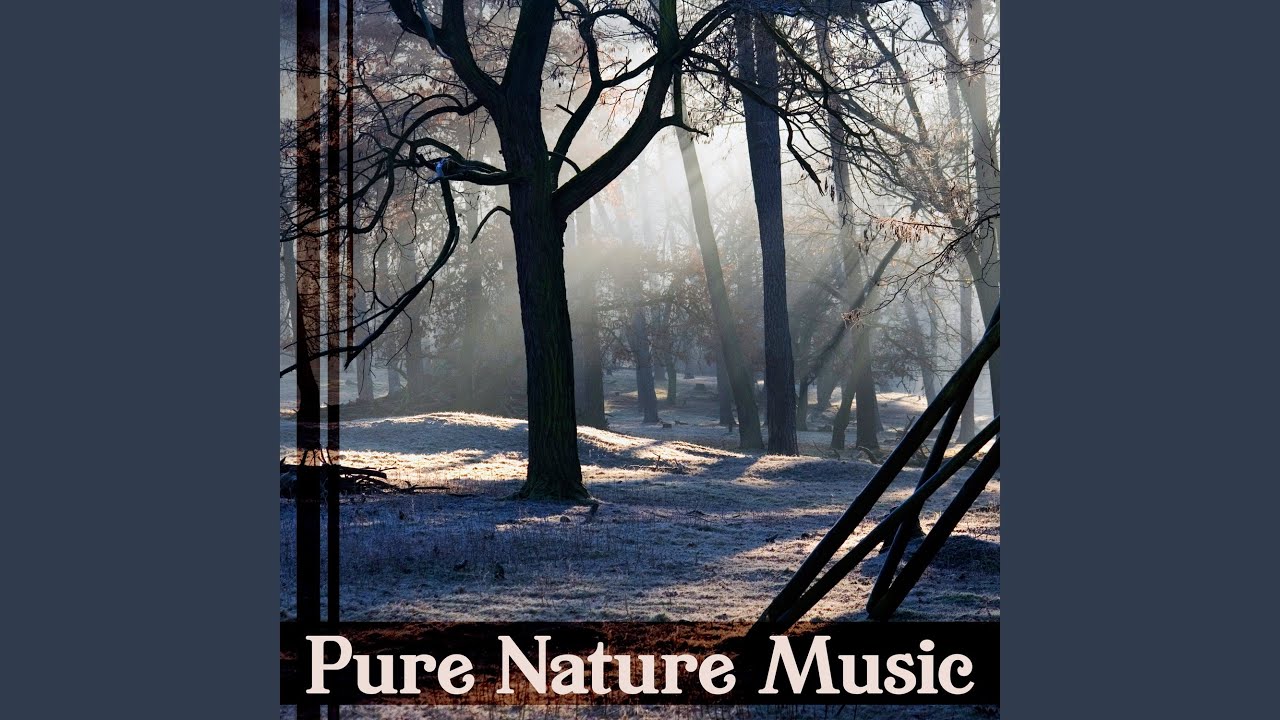 Soft Nature Sounds - YouTube