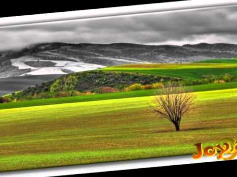 Əgər məni unutsan - Gülnar Gülka