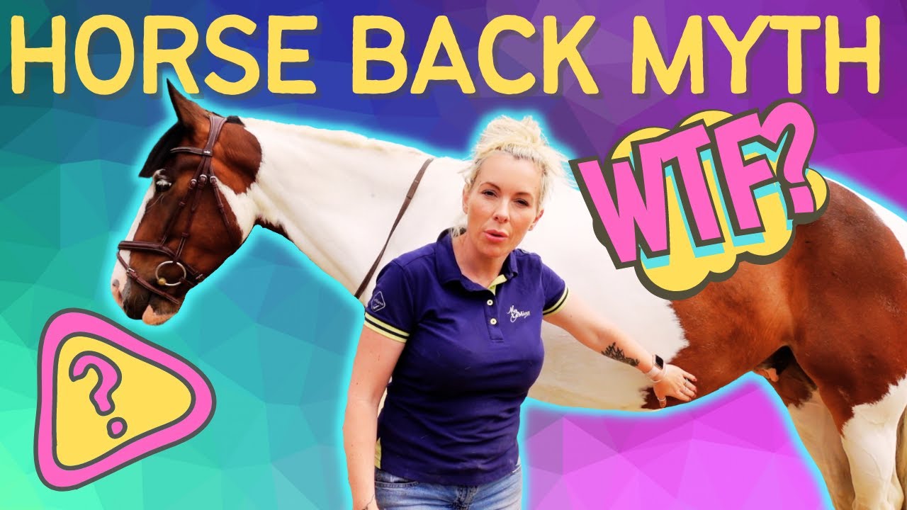 A MYTH ABOUT HORSE'S BACKS - What makes them strong? What causes a SWAY ...