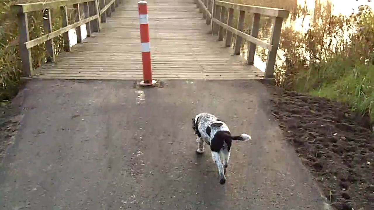 Bobje in het Twiske - 30 okt 09 - YouTube