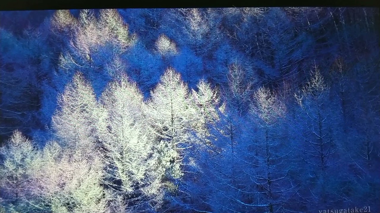 So sad / George Harrison - YouTube