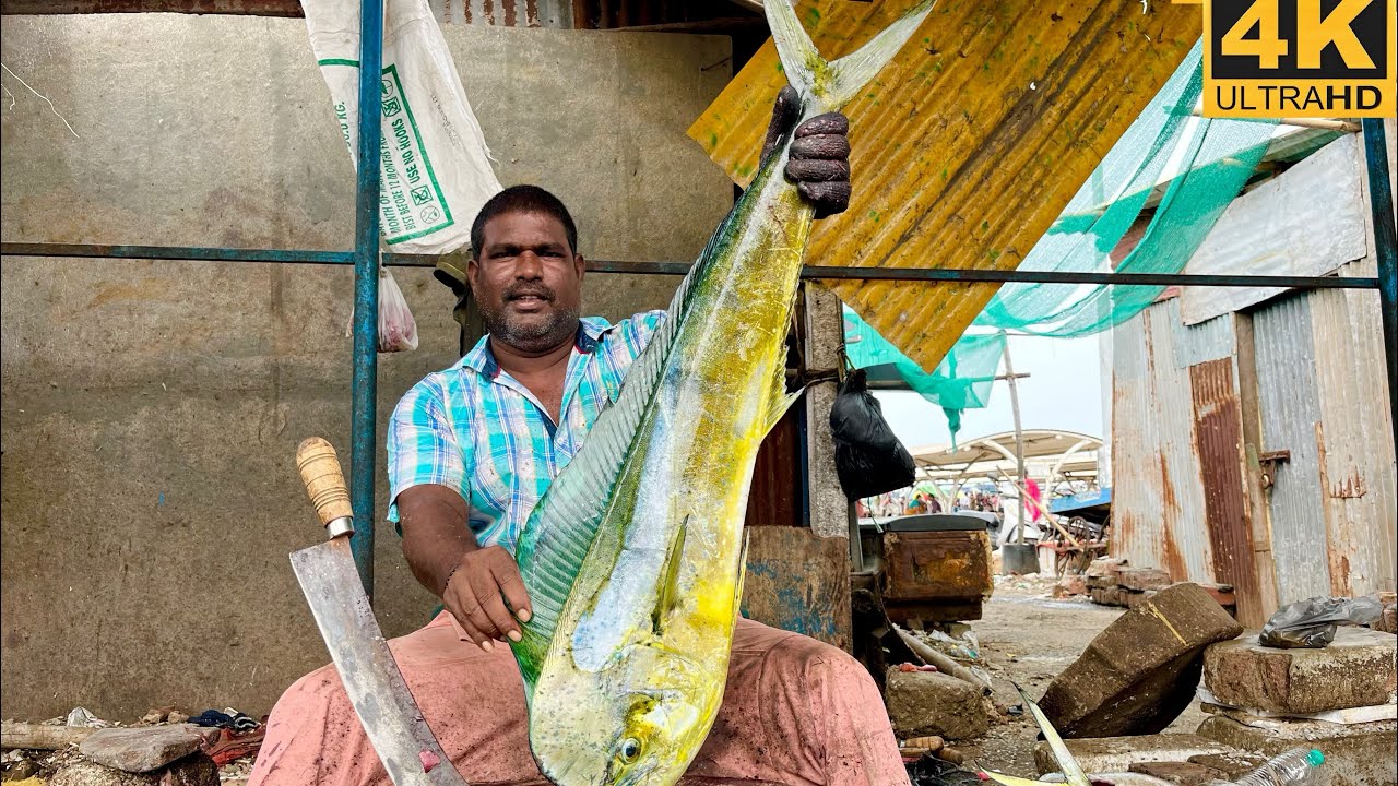 Paral fish cutting video/Fishcuttingrs #fishcuttingrs #kasimedu #fish ...