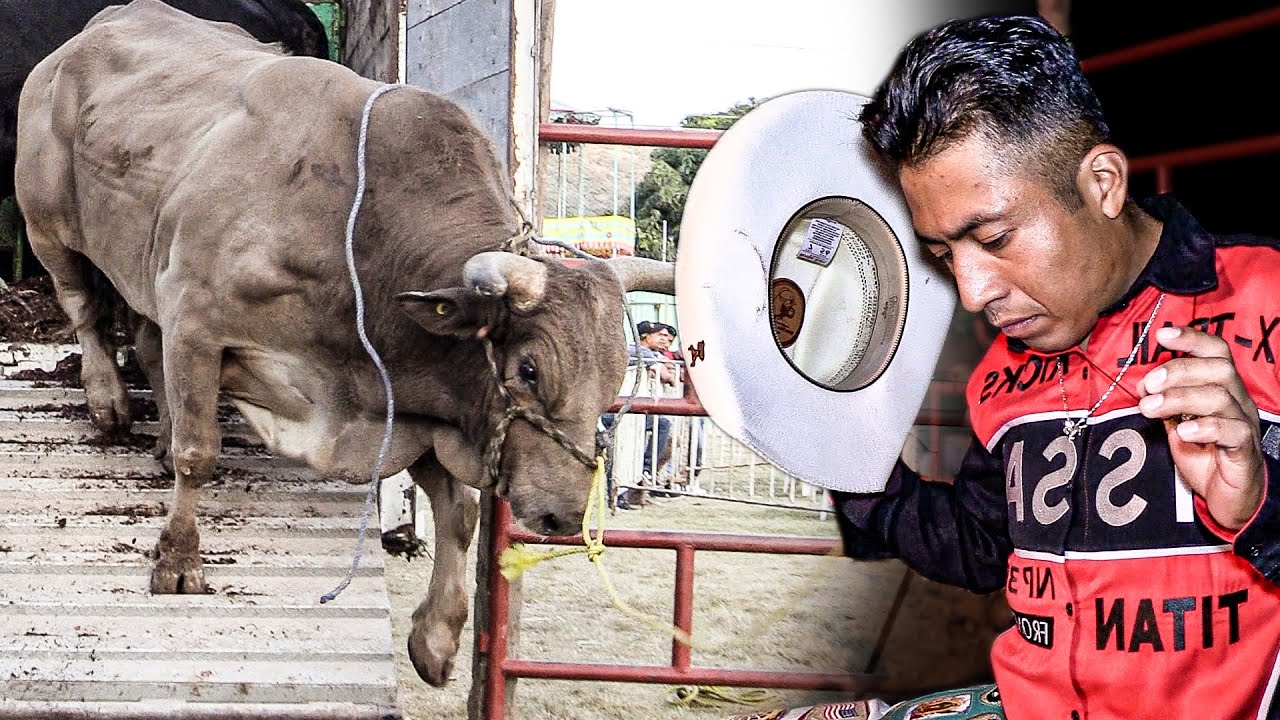 PURO TORO GRANDE LLEGO PARA LOS GUERREROS DE OAXACA // Rancho El Trebol ...