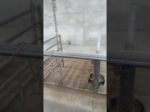 təfil verdiyimiz is xeyirri olsun ici dolu olsun