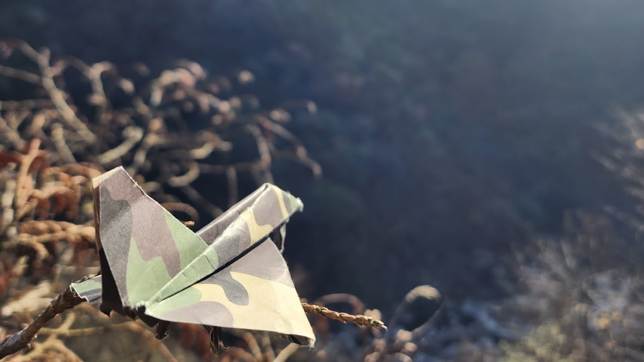 Diamondback Omega by Jayson Merrill in flight. - YouTube