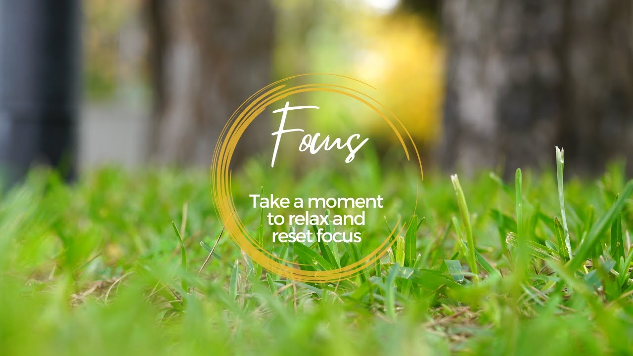 Powerful Focus Breathing for Mental Clarity and Relaxation | #focus # ...