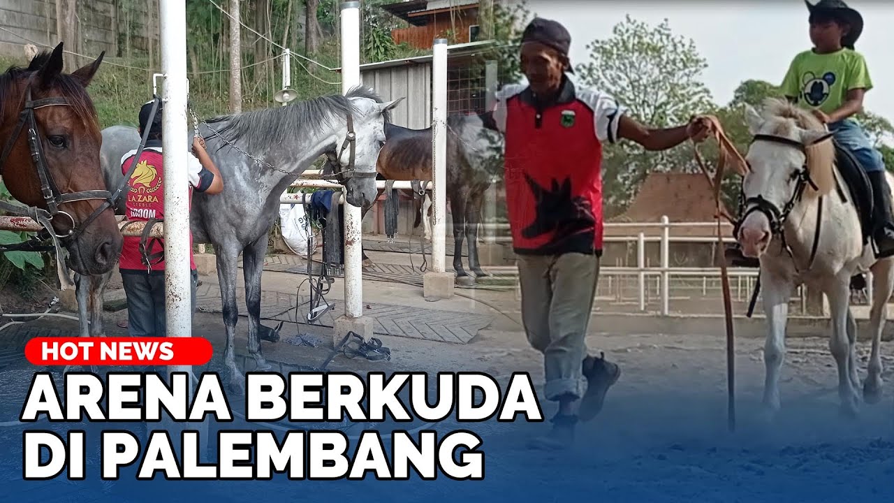 Sensasi Berkuda di Palembang, Konsep Unik Lazara Stable, Sering Dipakai ...