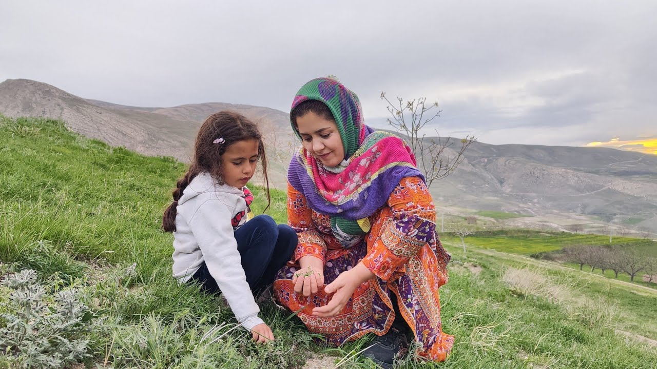 Daily routine village life in IRAN | mountain plants of the village of ...
